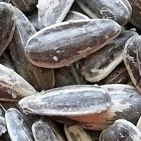 Pipas de girasol aguasal: ¡el snack saludable y delicioso que estabas ...